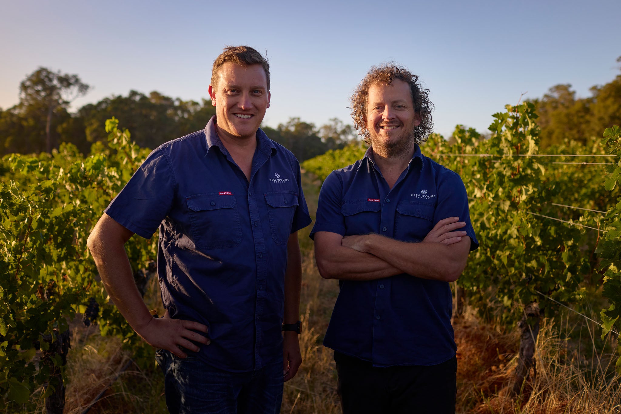 Four gold medals awarded to deep woods estate at the 2022 royal queens ...